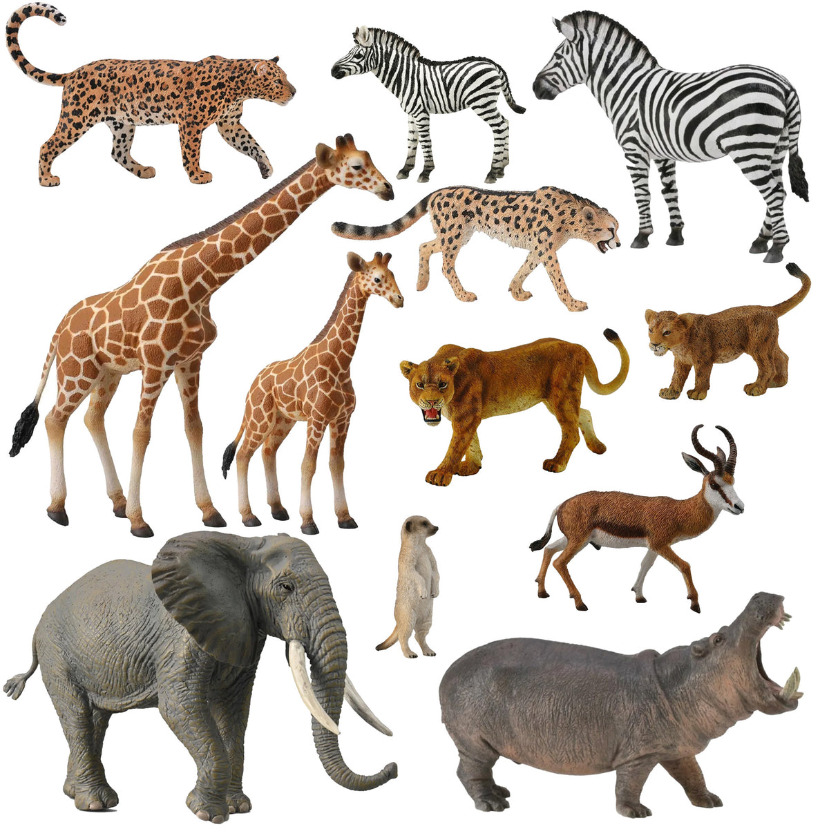 CollectA African Wildlife - 12 piece set – Animal Kingdoms Toy Store