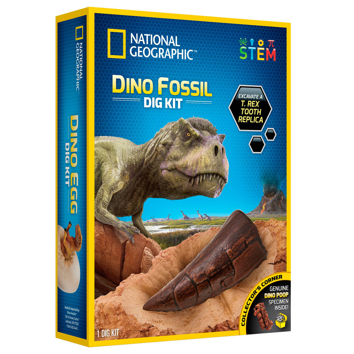 National Geographic Dino Fossil Dig Kit – Animal Kingdoms Toy Store