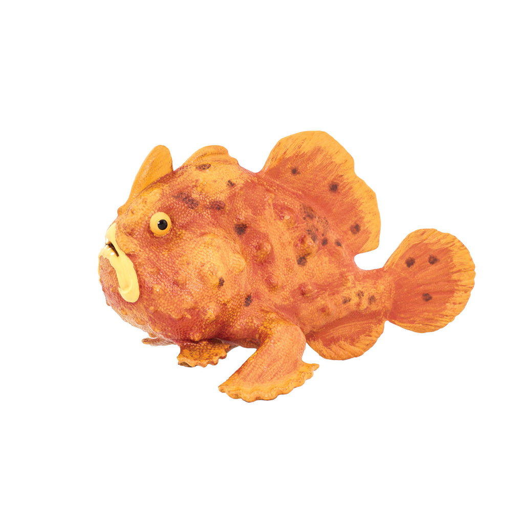 Safari Ltd Frogfish XL – Animal Kingdoms Toy Store