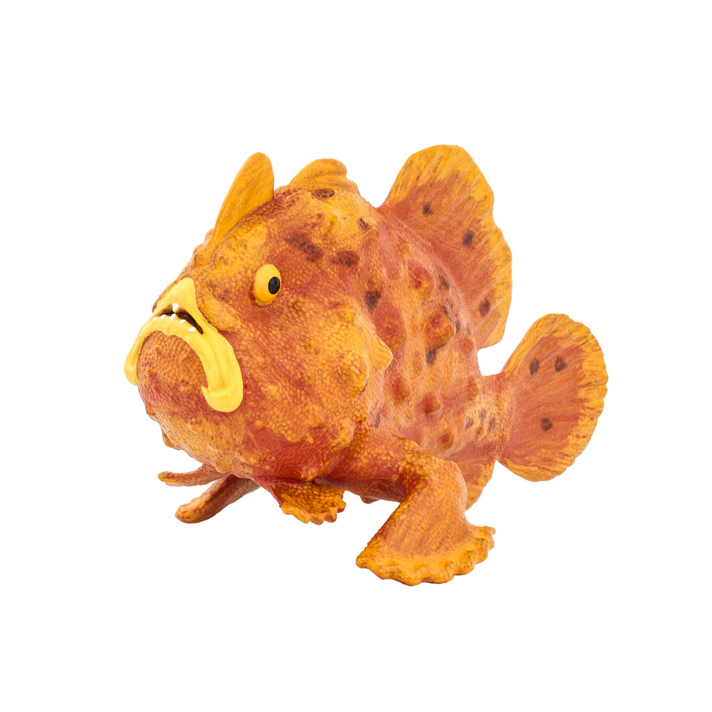 Safari Ltd Frogfish XL – Animal Kingdoms Toy Store