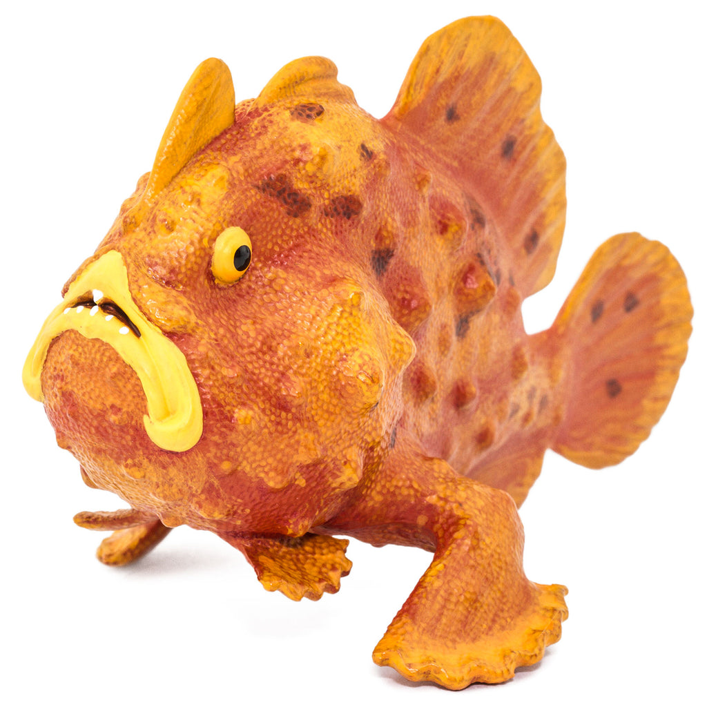 Safari Ltd Frogfish XL – Animal Kingdoms Toy Store