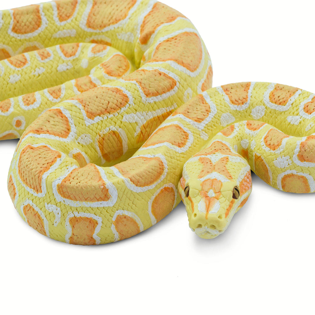 Safari Ltd Albino Burmese Python XL – Animal Kingdoms Toy Store