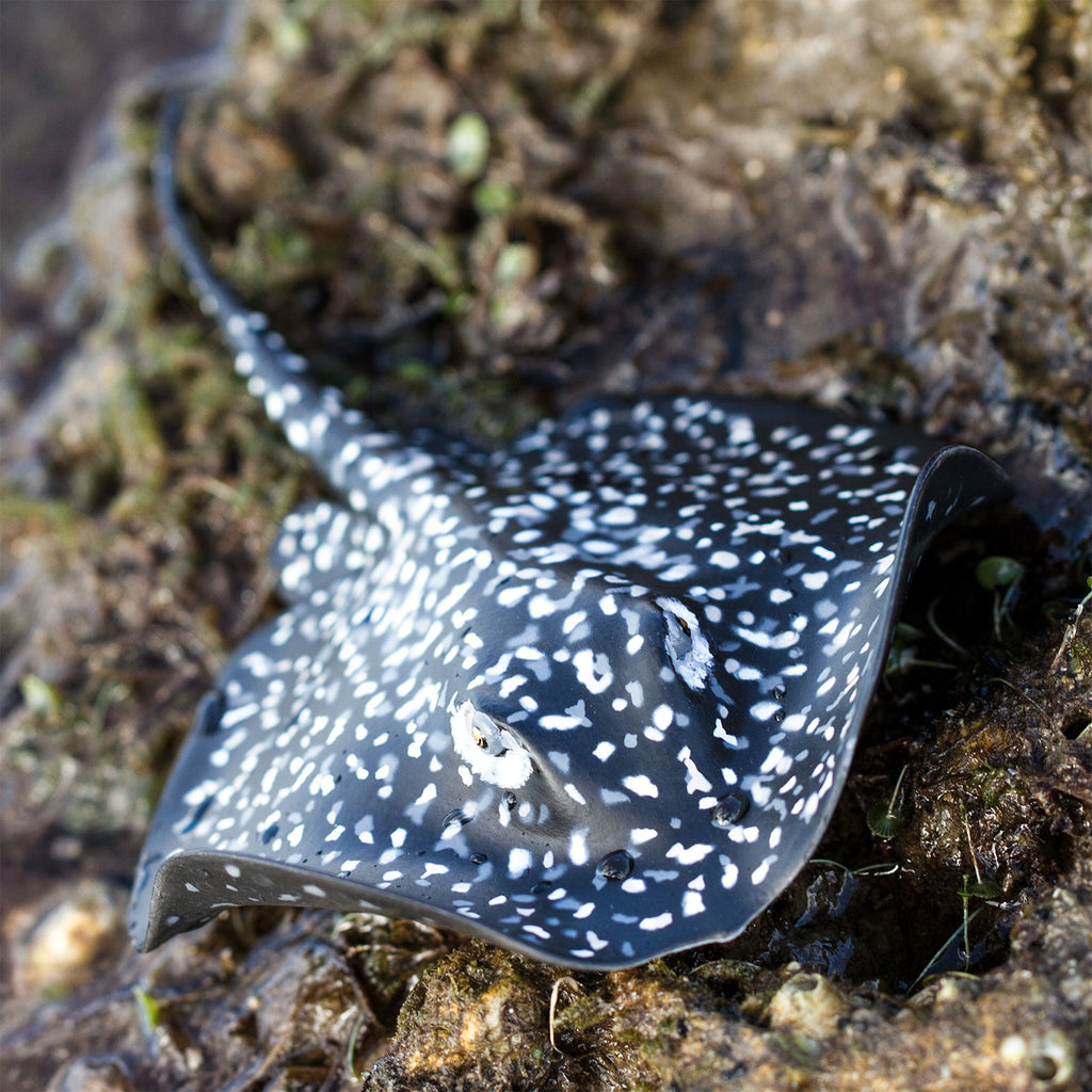 Safari Ltd Marble Ray XL – Animal Kingdoms Toy Store
