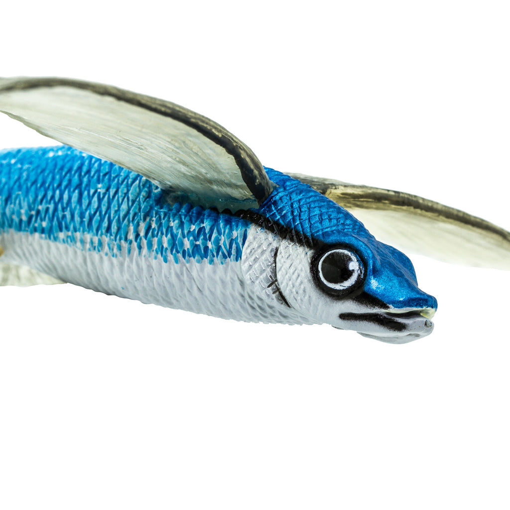 Safari Ltd Flying Fish XL – Animal Kingdoms Toy Store