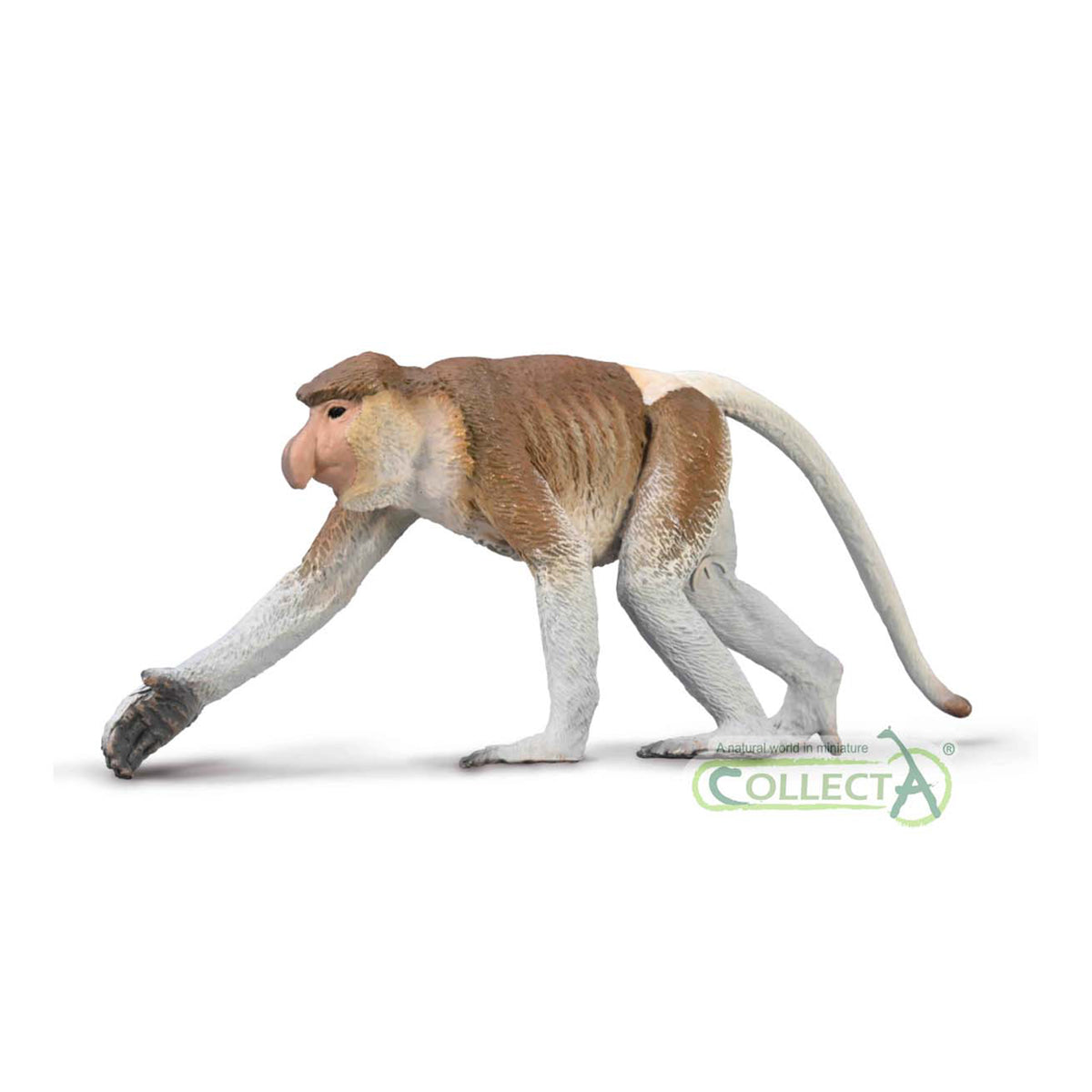 CollectA Proboscis Monkey – Animal Kingdoms Toy Store