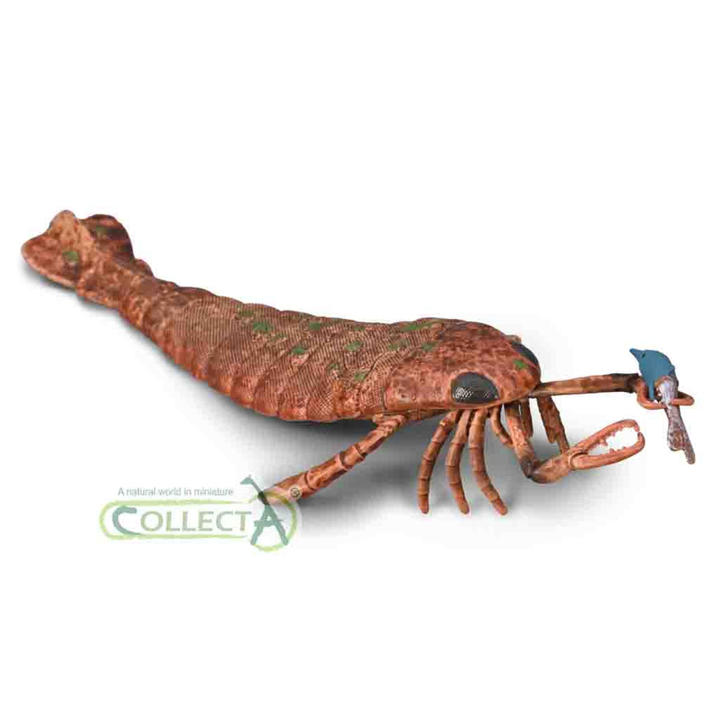 CollectA Jaekelopterus with Prey 1:20 Scale – Animal Kingdoms Toy Store
