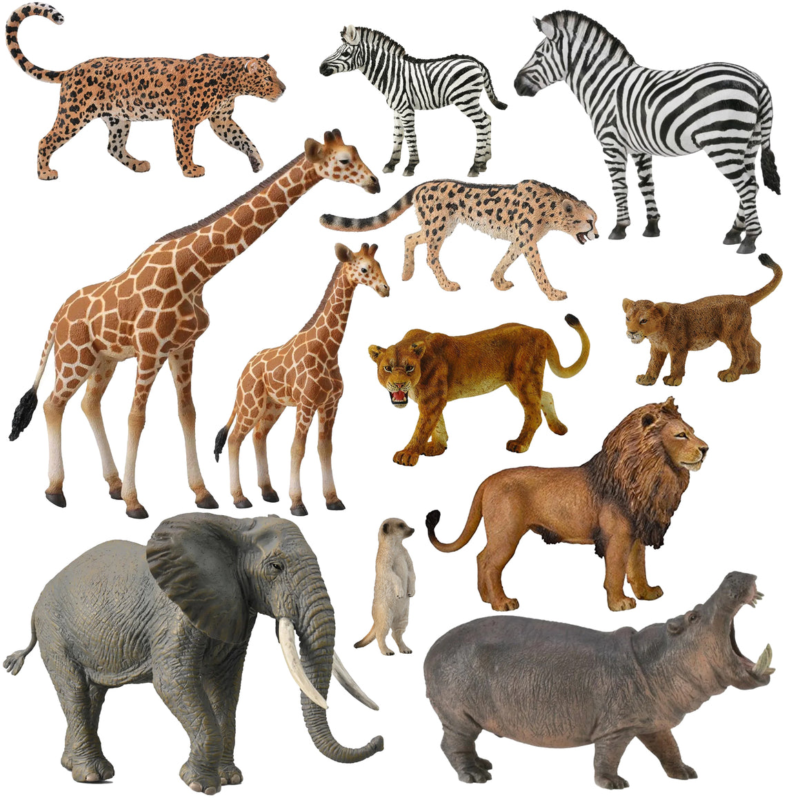 Animal Kingdoms – Animal Kingdoms Toy Store