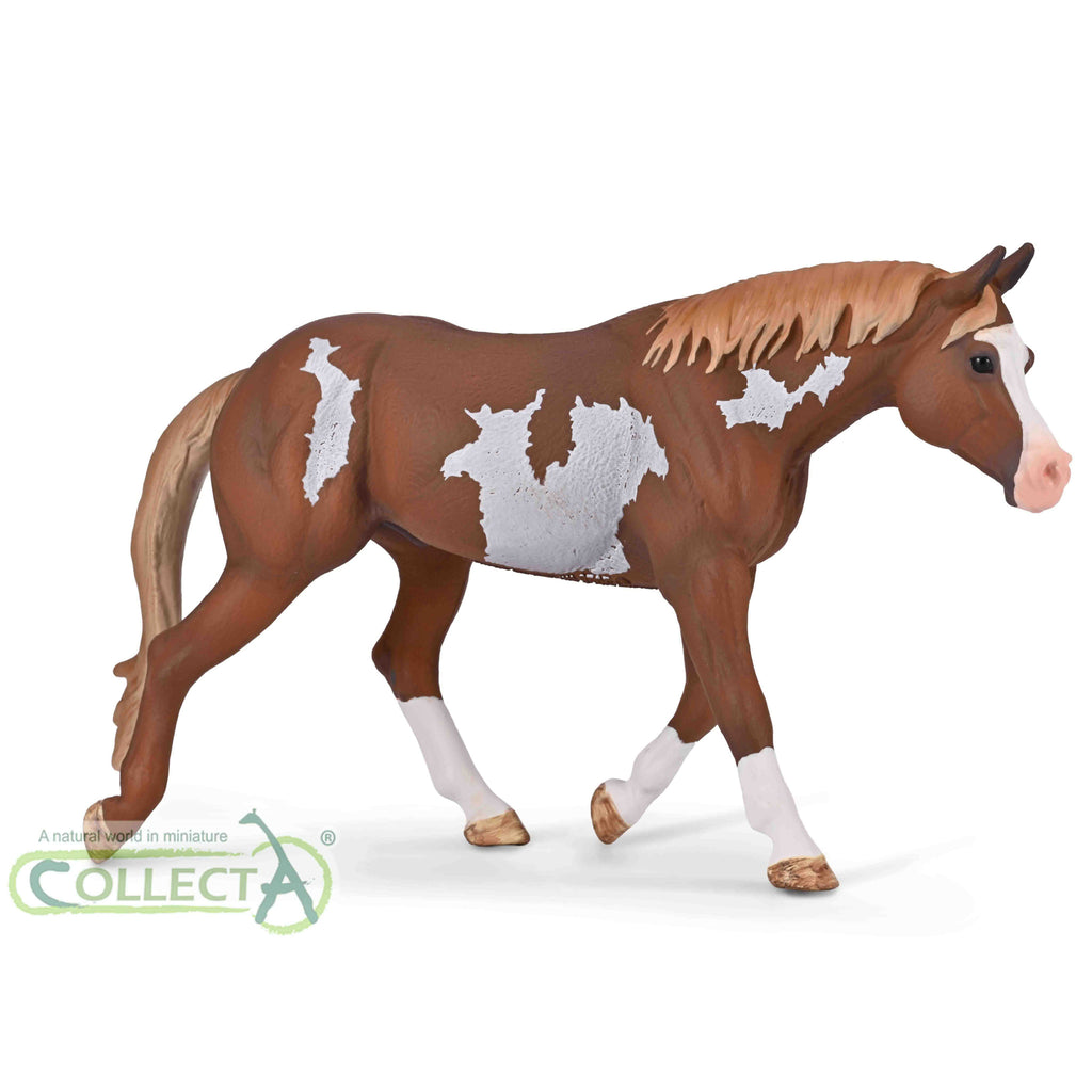 CollectA American Paint Horse Stallion – Animal Kingdoms Toy Store