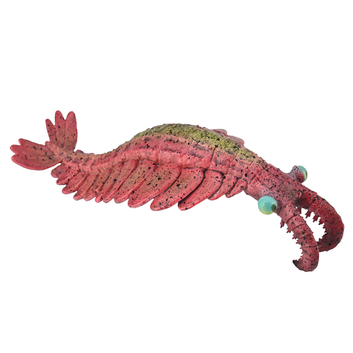 CollectA Anomalocaris – Animal Kingdoms Toy Store