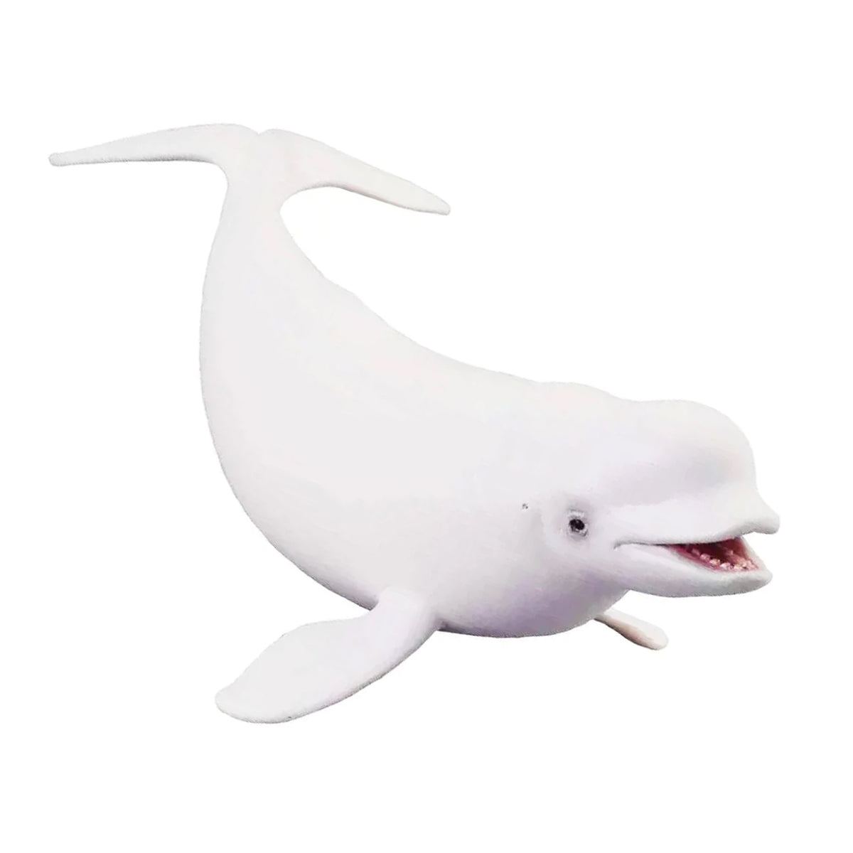 CollectA Beluga Whale – Animal Kingdoms Toy Store
