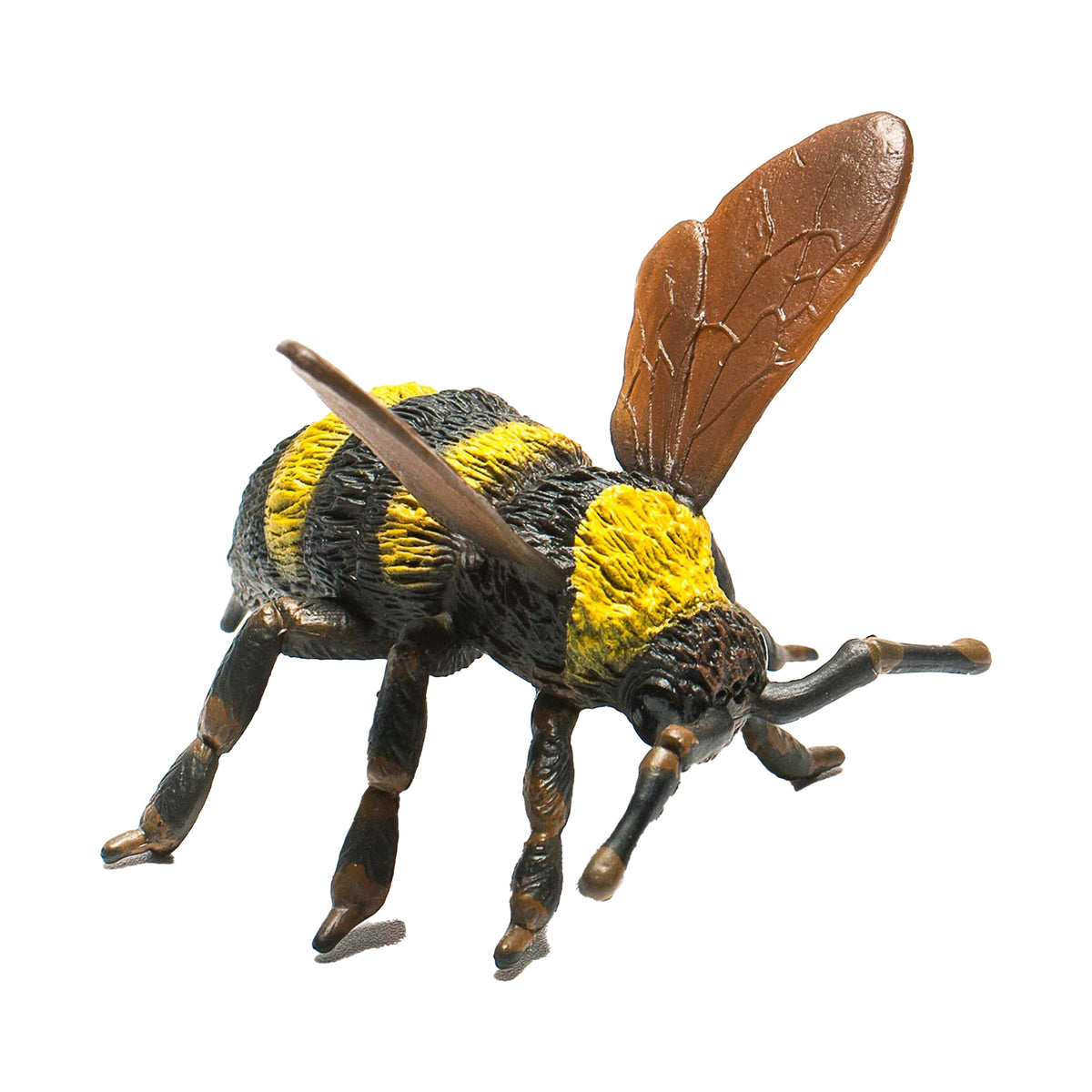CollectA Bumble Bee – Animal Kingdoms Toy Store