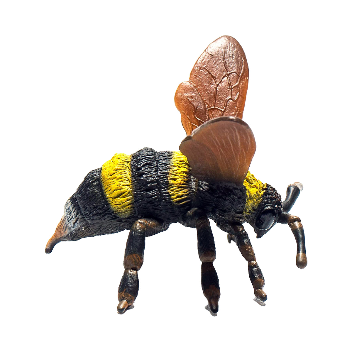CollectA Bumble Bee – Animal Kingdoms Toy Store