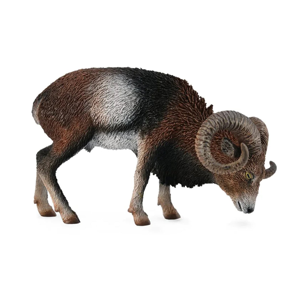 CollectA European Mouflon – Animal Kingdoms Toy Store