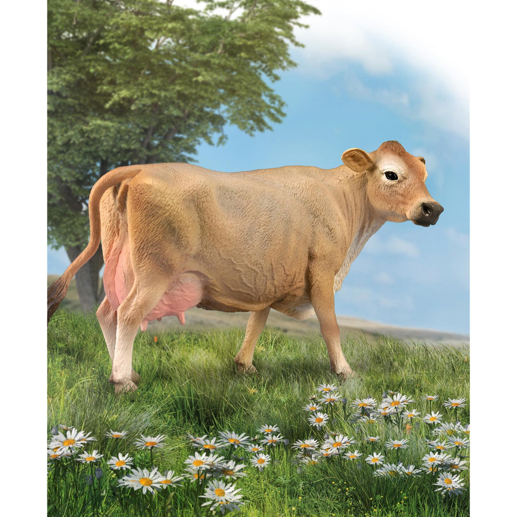 CollectA Jersey Cow – Animal Kingdoms Toy Store