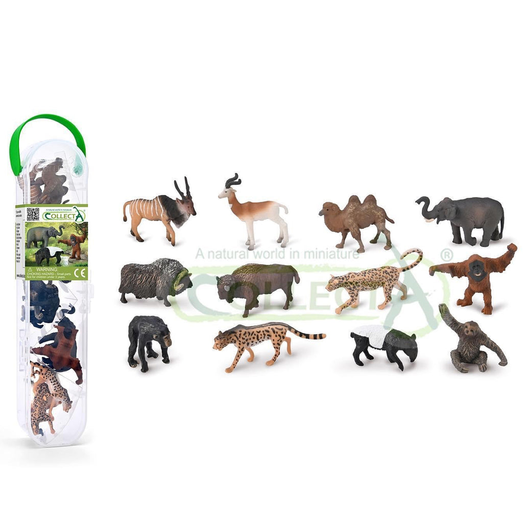 CollectA Mini Wild Animals Tube B 12 Piece – Animal Kingdoms Toy Store