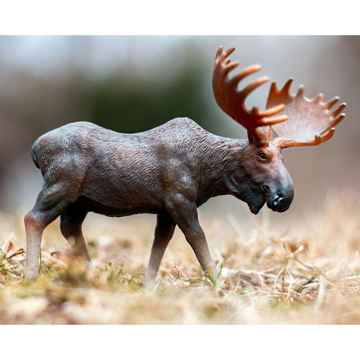 CollectA Moose – Animal Kingdoms Toy Store