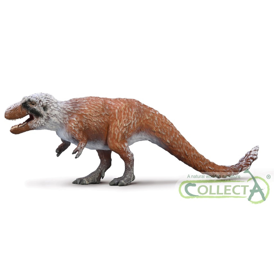 CollectA 2024 – Animal Kingdoms Toy Store