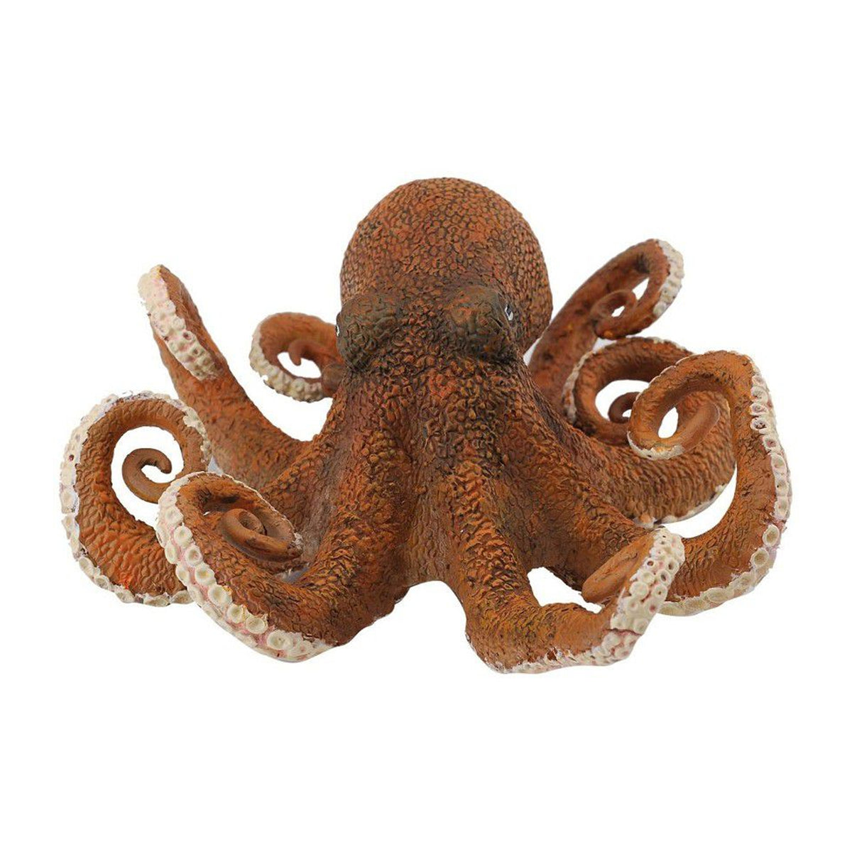 CollectA Octopus – Animal Kingdoms Toy Store