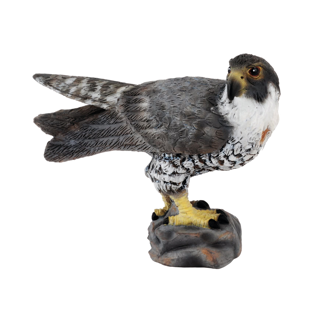 CollectA Peregrine Falcon – Animal Kingdoms Toy Store