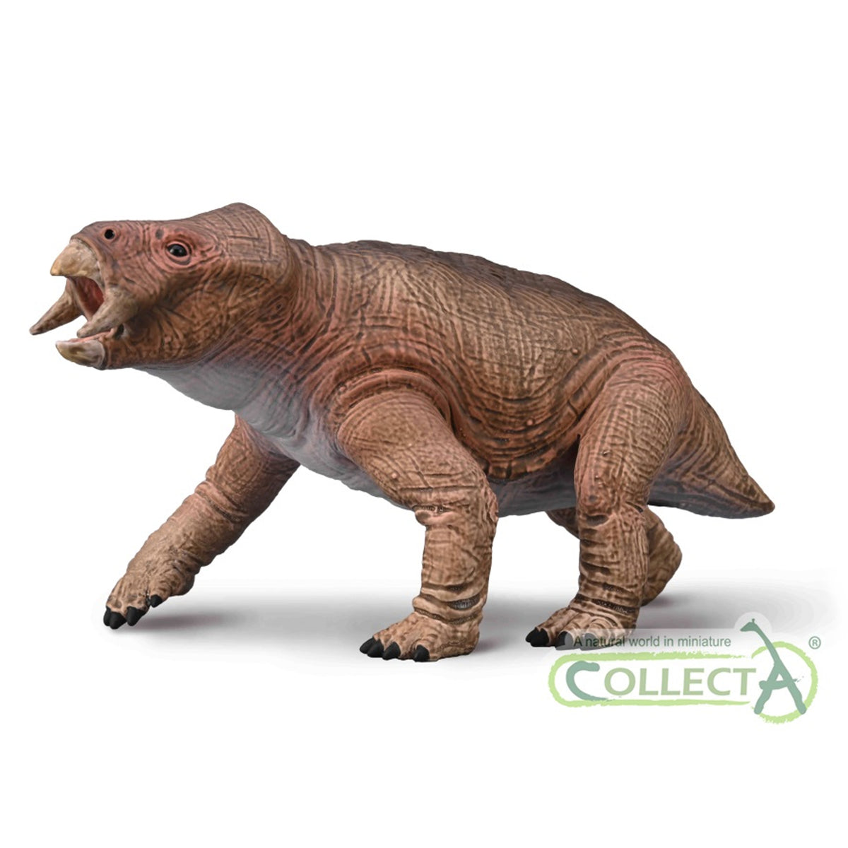 CollectA Placerias Deluxe 1:20 – Animal Kingdoms Toy Store