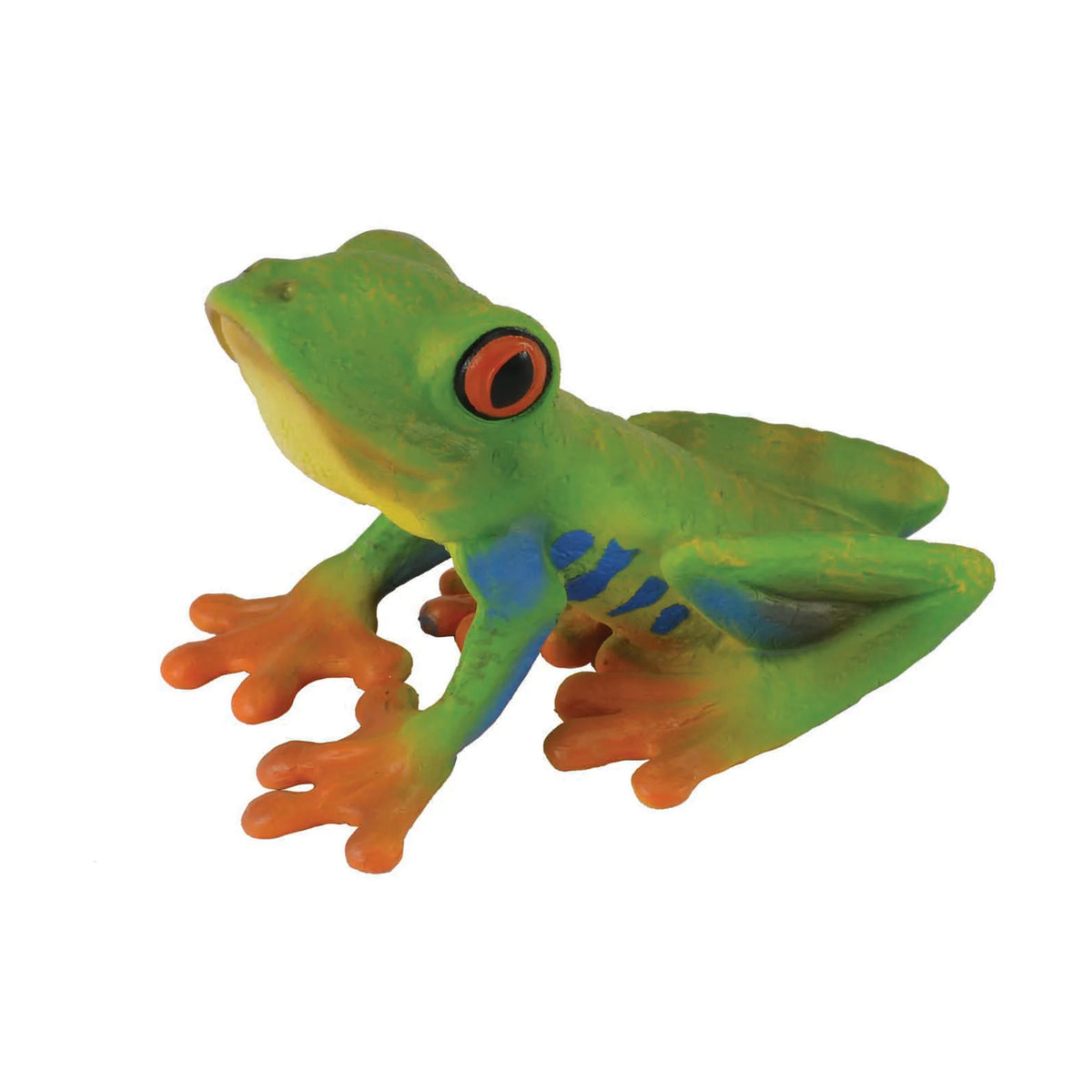 CollectA Red Eyed Tree Frog – Animal Kingdoms Toy Store