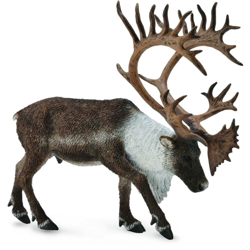 CollectA Woodland Caribou Reindeer – Animal Kingdoms Toy Store