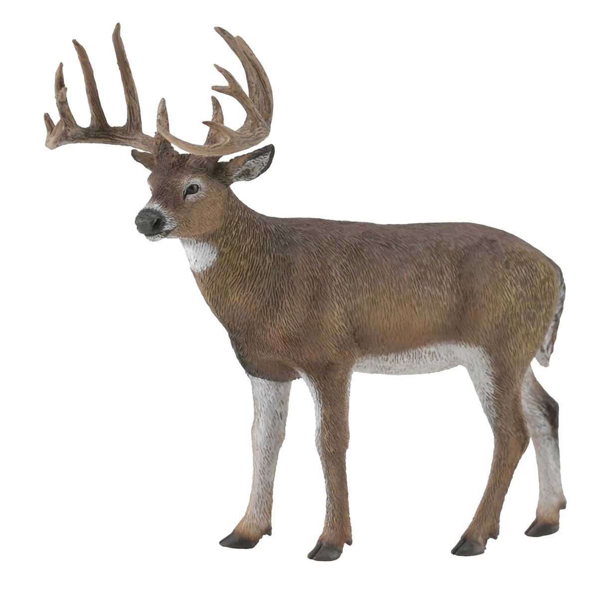 CollectA White-Tailed Deer – Animal Kingdoms Toy Store