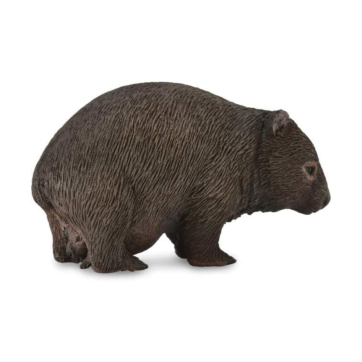 CollectA Wombat – Animal Kingdoms Toy Store