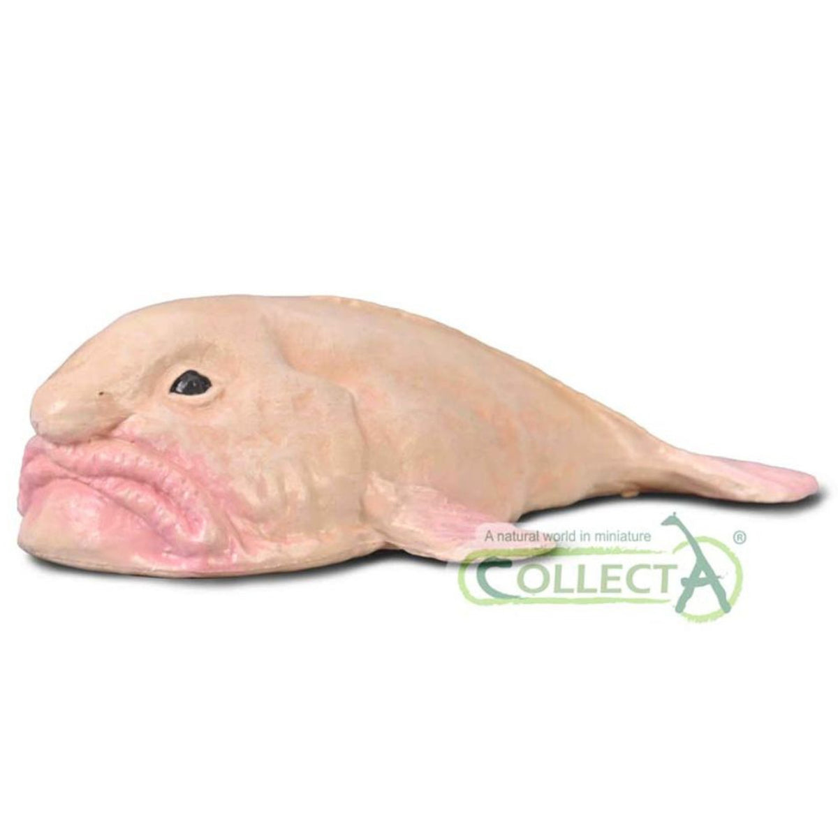 CollectA Blobfish – Animal Kingdoms Toy Store