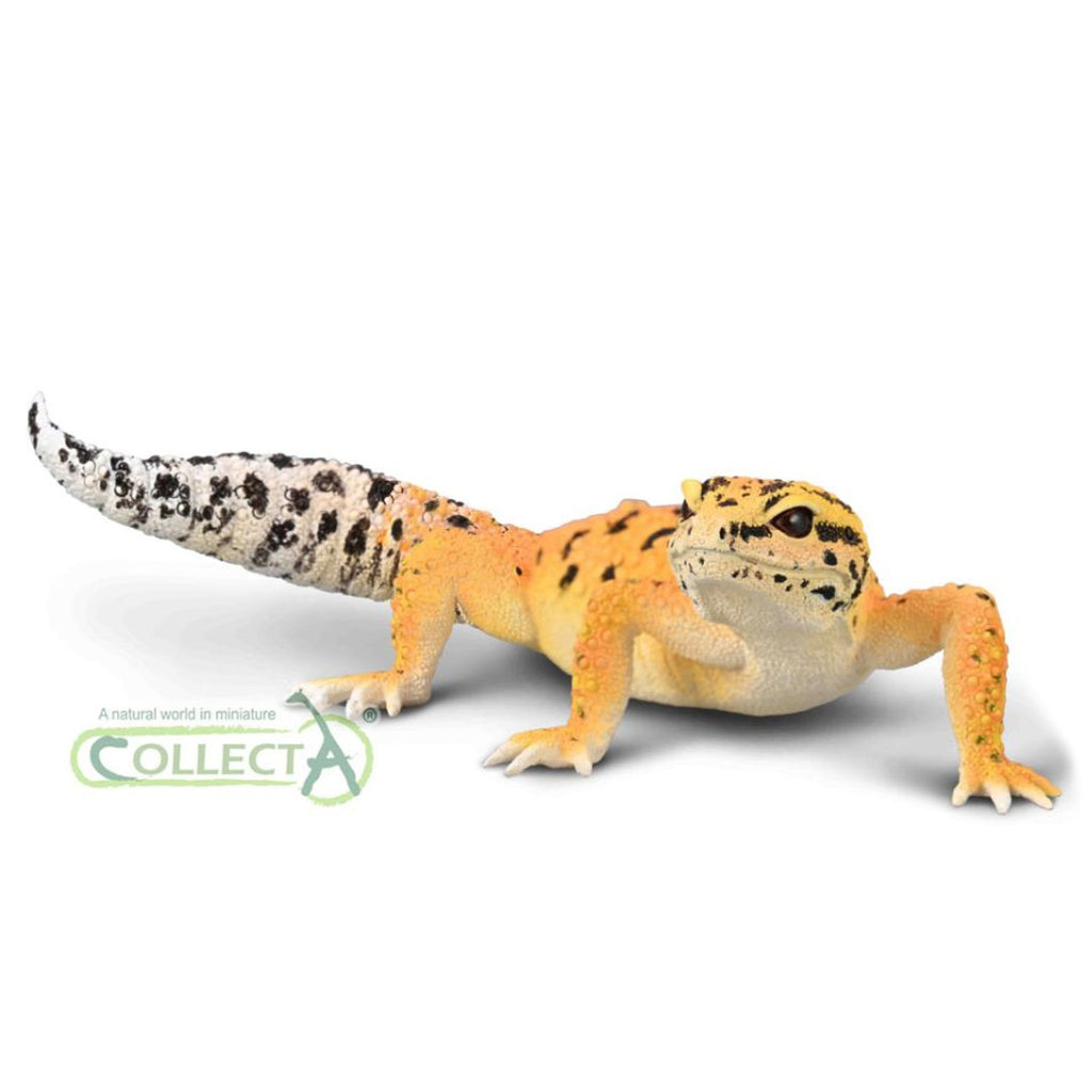 CollectA Leopard Gecko – Animal Kingdoms Toy Store