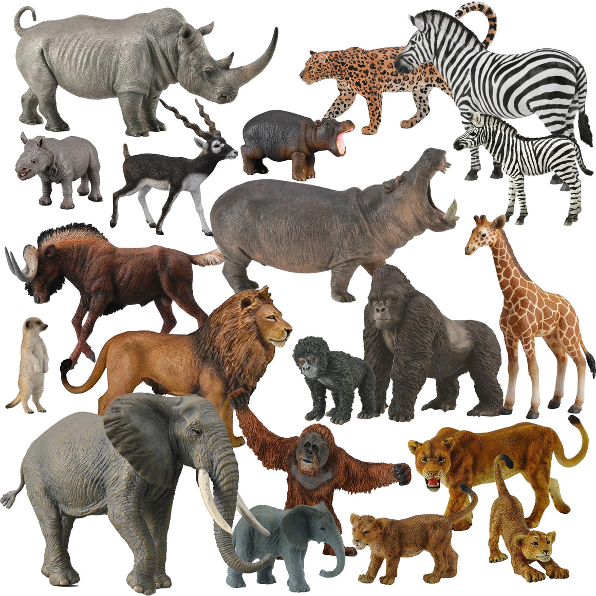 Animal Kingdoms – Animal Kingdoms Toy Store