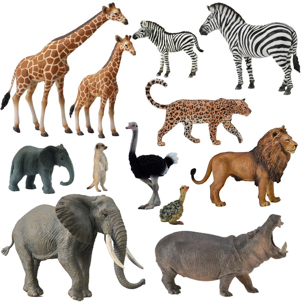 CollectA African Wildlife - 12 piece set – Animal Kingdoms Toy Store