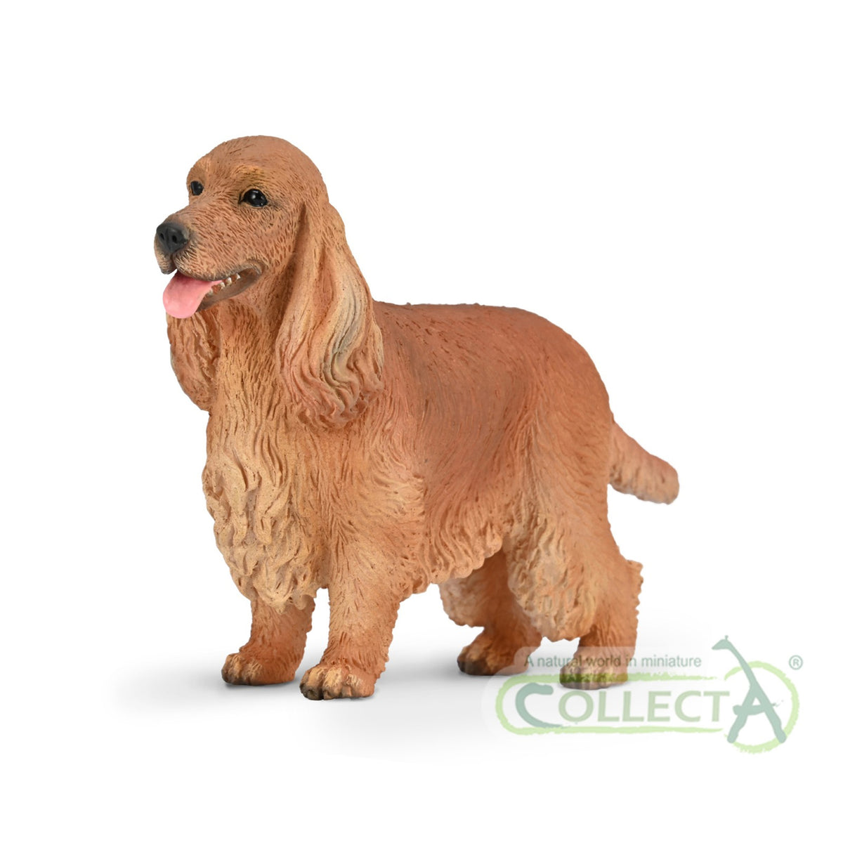 CollectA English Cocker Spaniel – Animal Kingdoms Toy Store