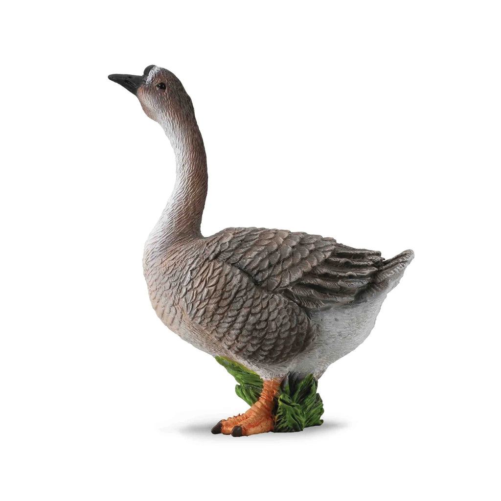 CollectA Farm Animals - 12 piece set – Animal Kingdoms Toy Store