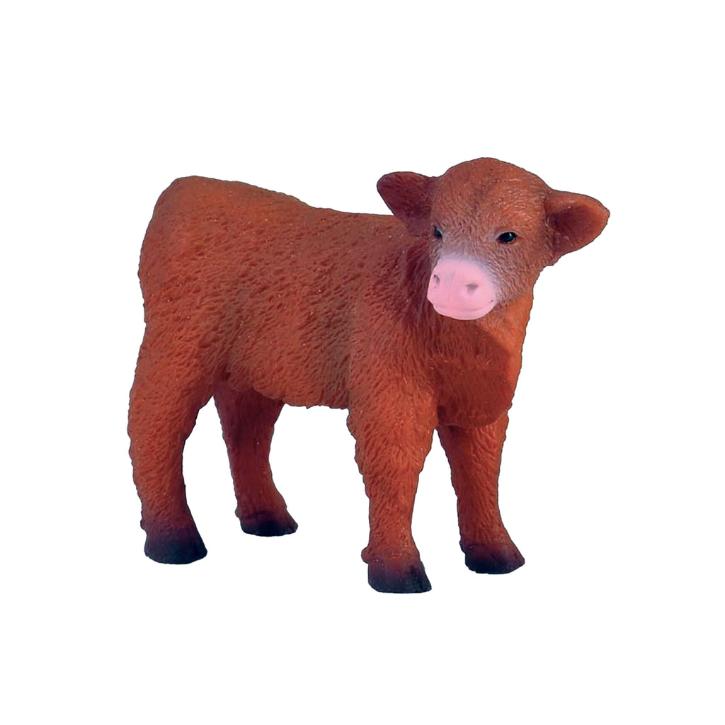 CollectA Highland Calf Standing – Animal Kingdoms Toy Store