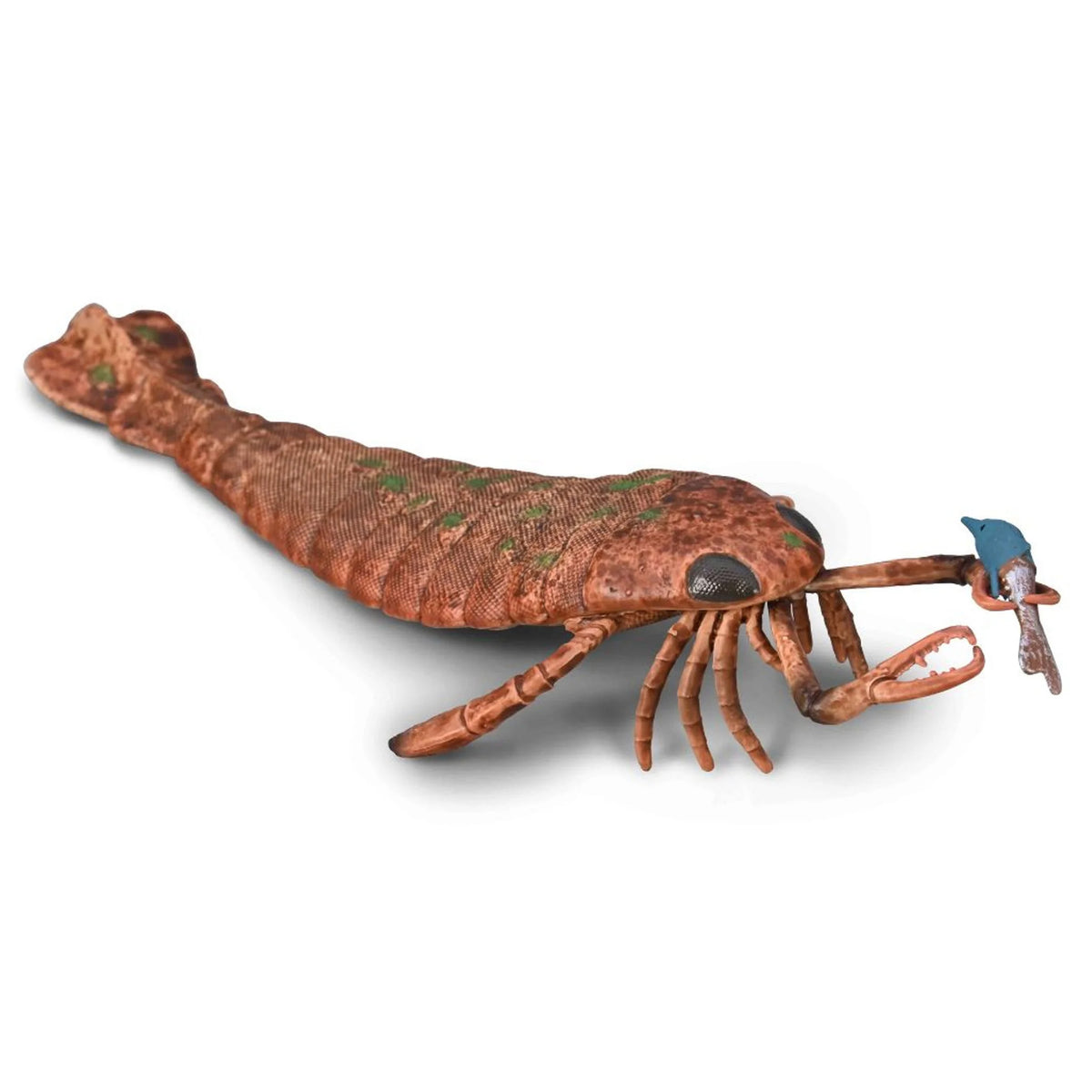 CollectA Prehistoric Marine Creatures - 8 piece set – Animal Kingdoms ...