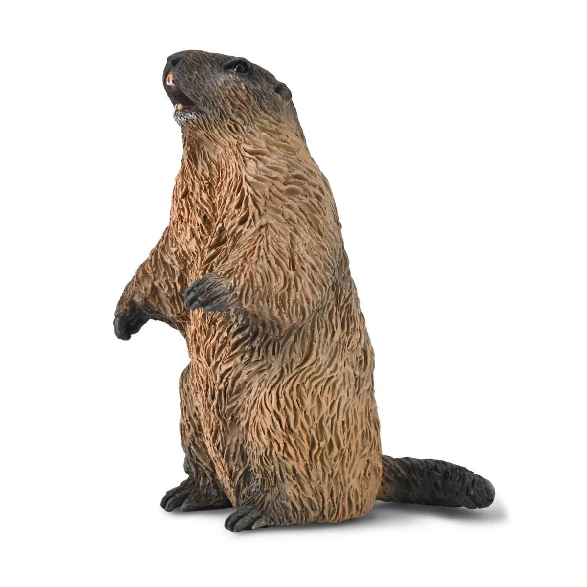 CollectA Marmot – Animal Kingdoms Toy Store