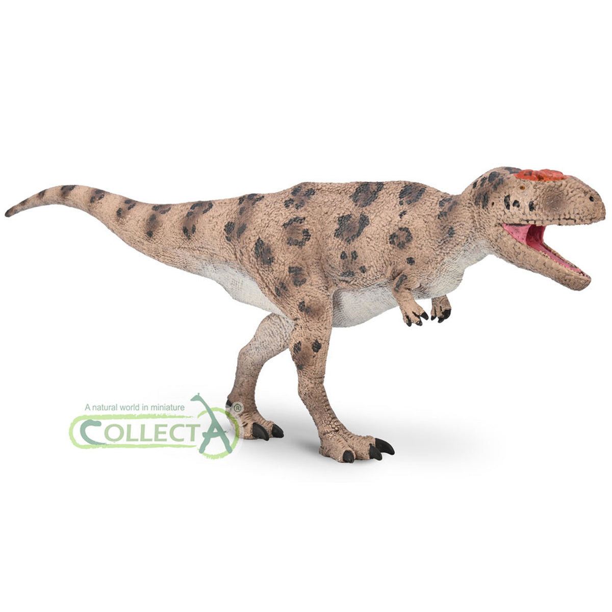 CollectA Meraxes – Animal Kingdoms Toy Store