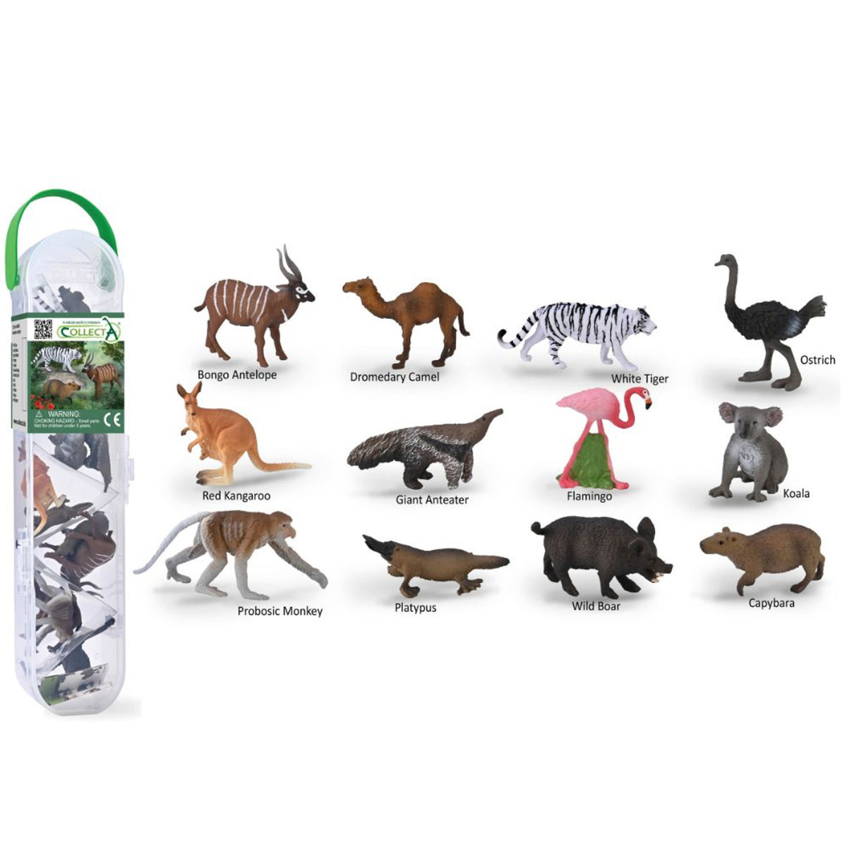 CollectA Mini Wild Animals Tube C 12 Piece – Animal Kingdoms Toy Store