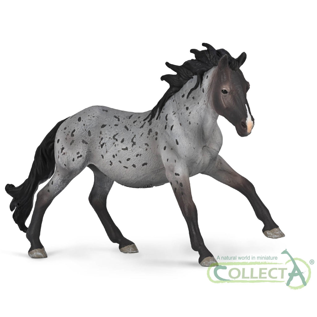 CollectA Nokota horse – Animal Kingdoms Toy Store
