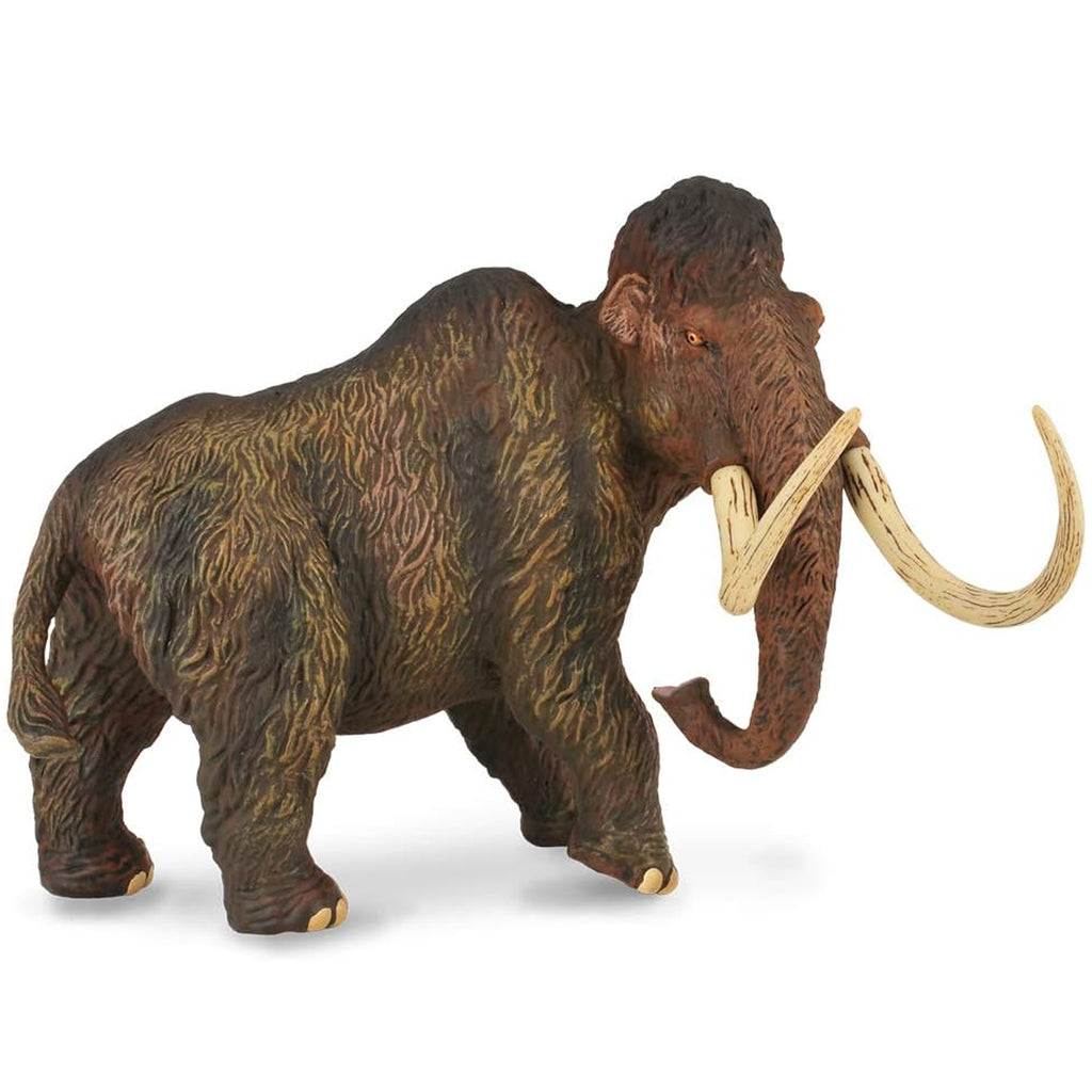 CollectA Prehistoric Beasts - 7 piece set – Animal Kingdoms Toy Store