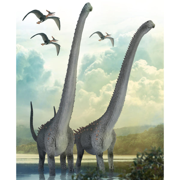 CollectA Ruyangosaurus – Animal Kingdoms Toy Store