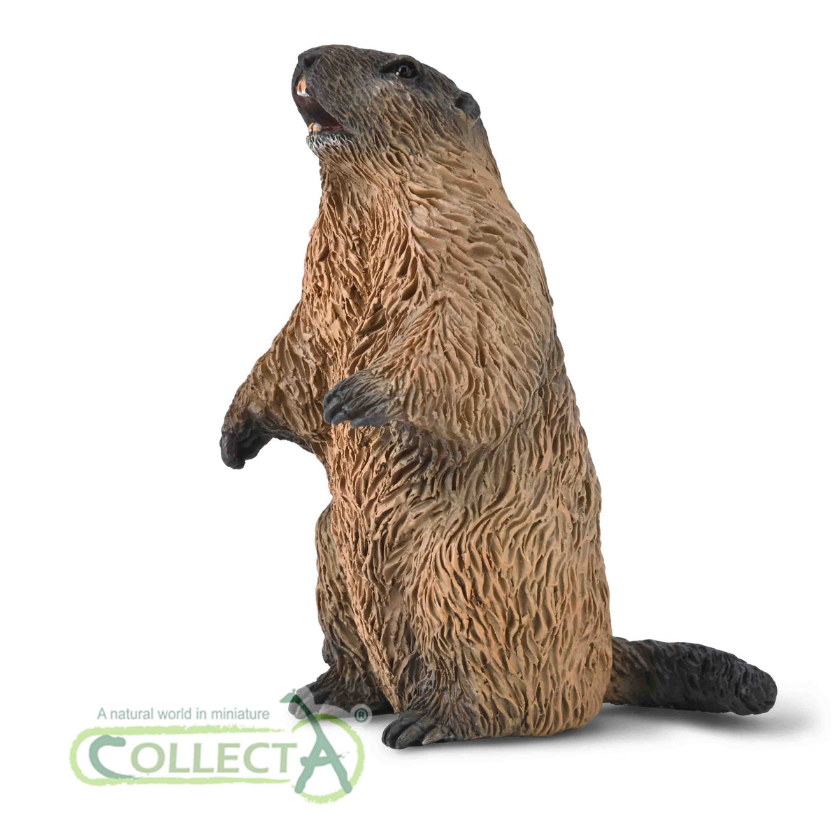 CollectA Marmot – Animal Kingdoms Toy Store