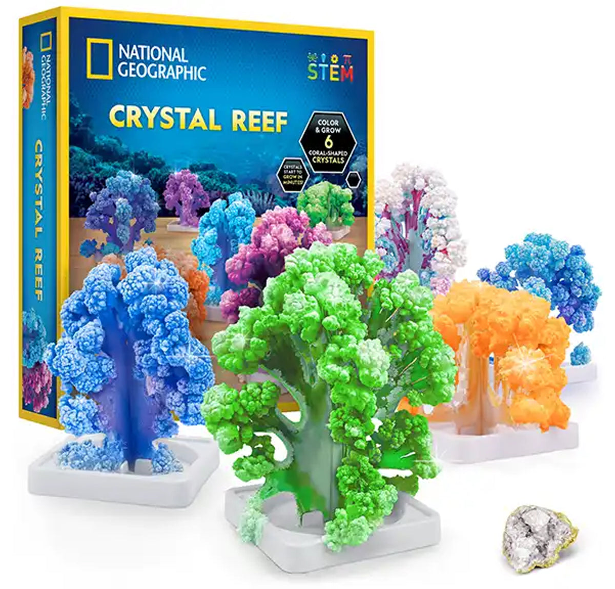 National Geographic Crystal Reef Coral Growing Lab – Animal Kingdoms ...