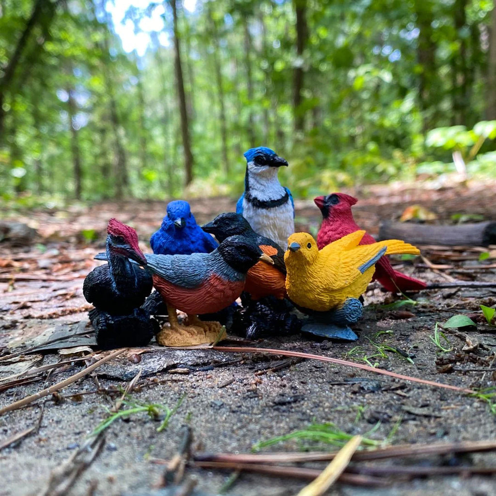 Safari Ltd Backyard Birds Toob – Animal Kingdoms Toy Store