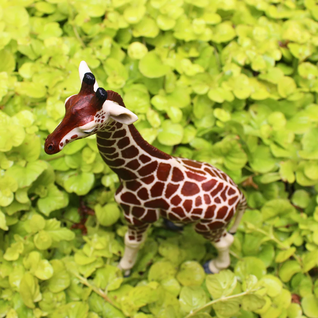 Safari Ltd Giraffe – Animal Kingdoms Toy Store