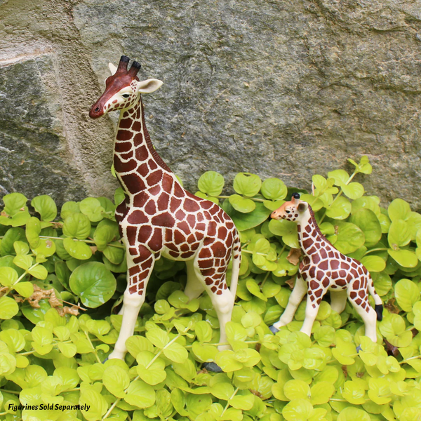 Safari Ltd Giraffe – Animal Kingdoms Toy Store