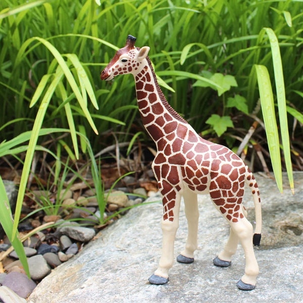 Safari Ltd Giraffe – Animal Kingdoms Toy Store