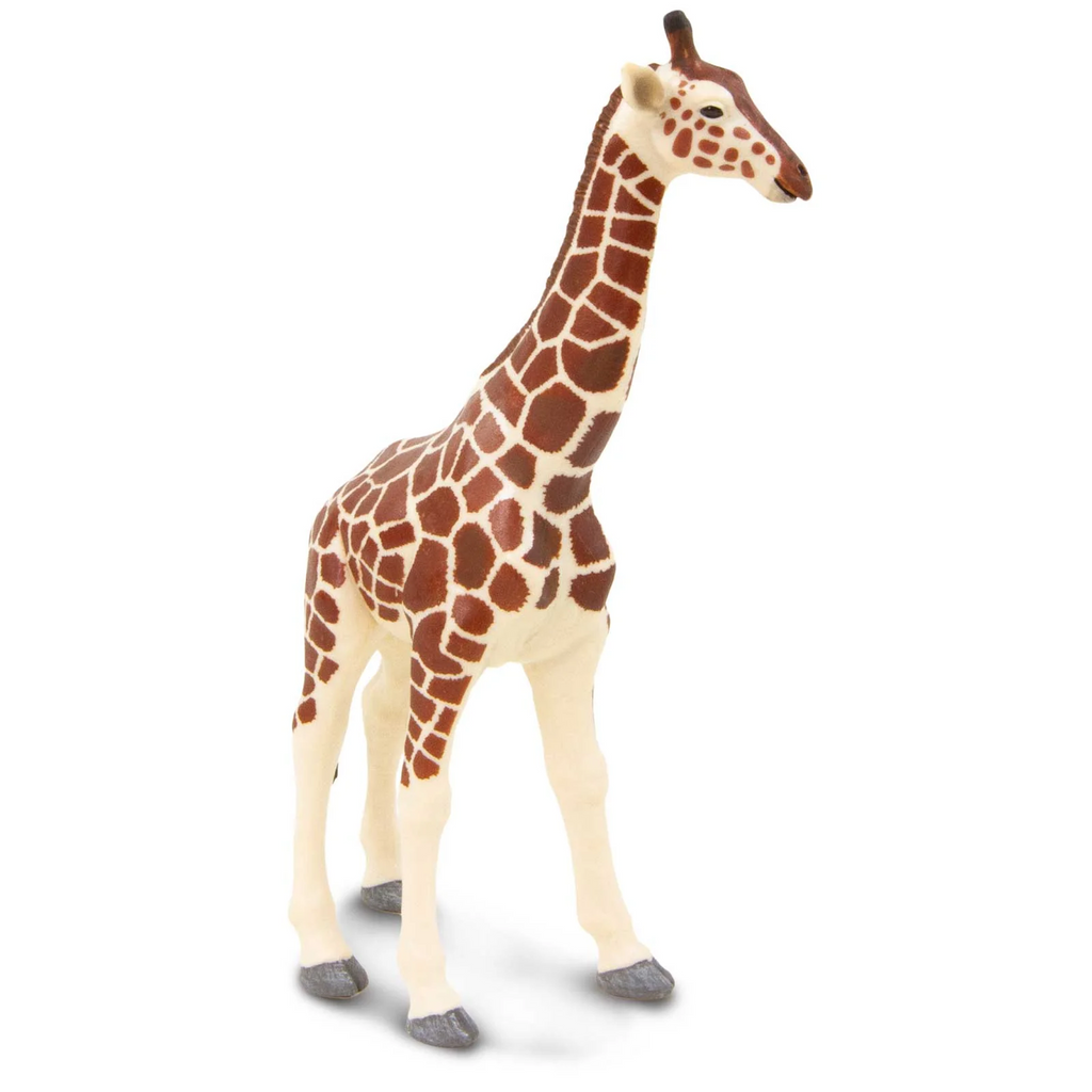 Safari Ltd Giraffe – Animal Kingdoms Toy Store
