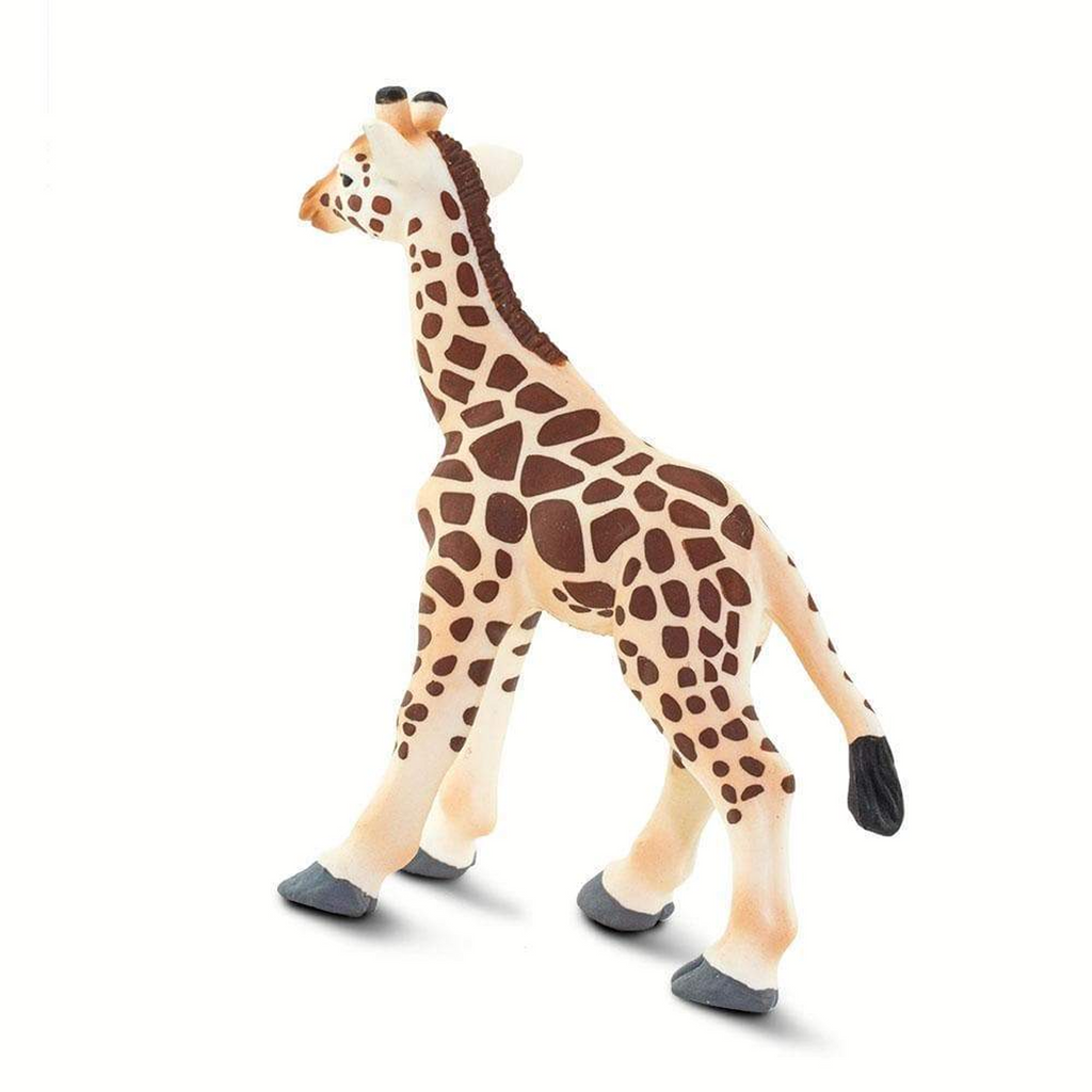 Safari Ltd Giraffe Baby – Animal Kingdoms Toy Store